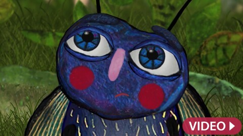 An Animated Film from the Сollection of Cartoons